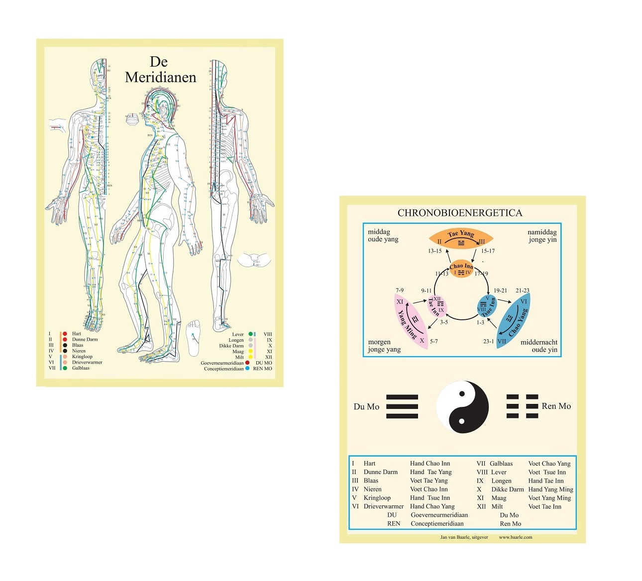 Poster Meridians A2 - MSK Podiamed